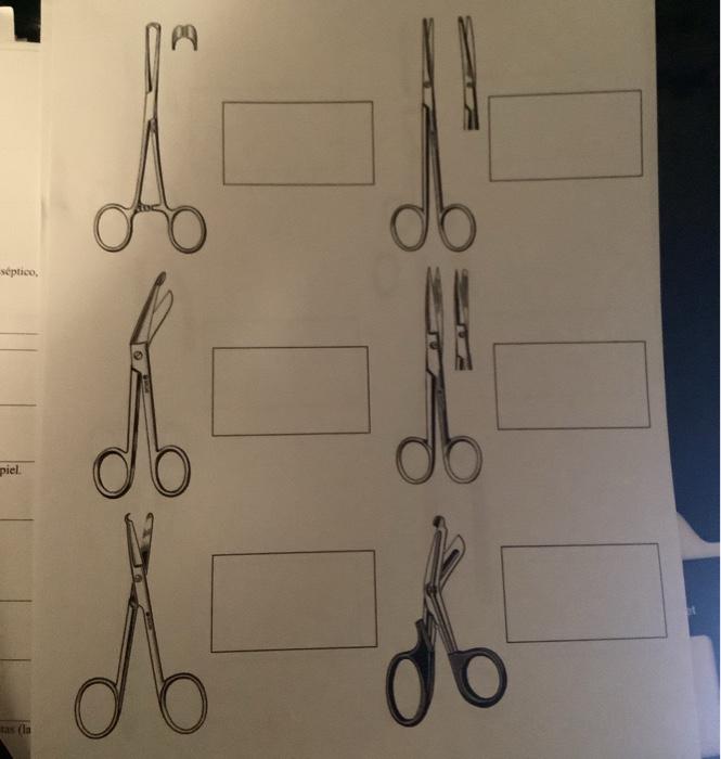 Solved Put the name of the full instrument and its function | Chegg.com