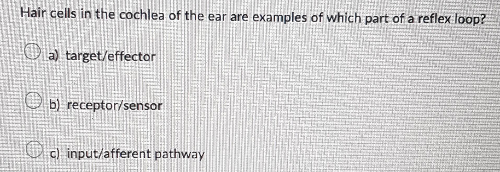 Solved Hair cells in the cochlea of the ear are examples of | Chegg.com