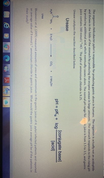 Solved The organism Helicobacter pylori is responsible for | Chegg.com