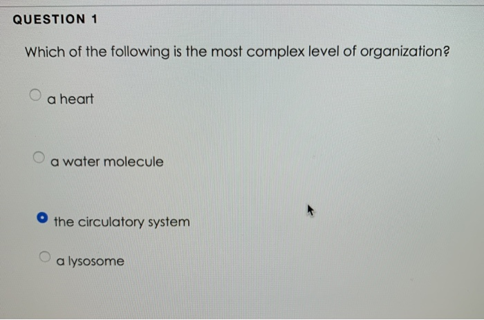 Solved QUESTION 1 Which of the following is the most complex | Chegg.com