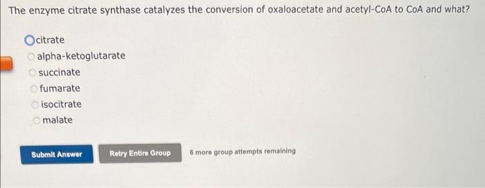 Solved Draw the reduced form of flavin adenine dinucleotide. | Chegg.com