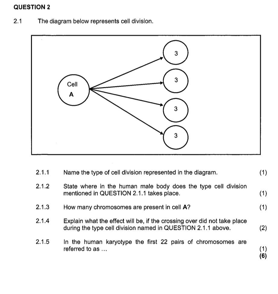 Solved 1 The diagram below represents cell division. 2.1.1 | Chegg.com