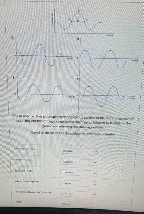 The position vs, time plot (top) depicts the vertical | Chegg.com