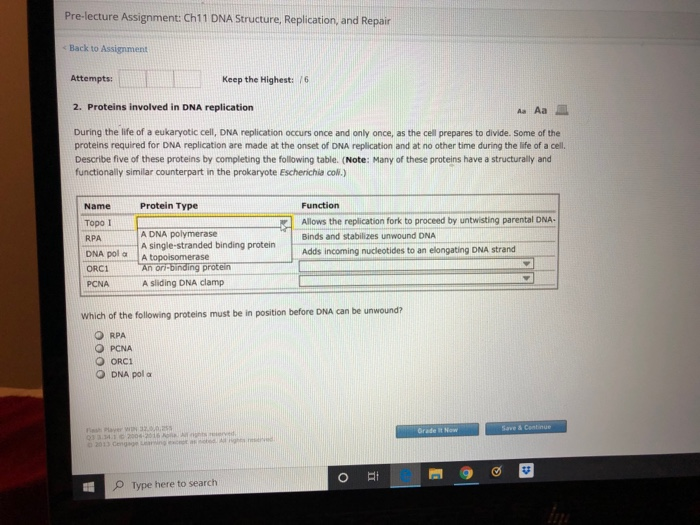 Solved Pre-lecture Assignment: Ch11 DNA Structure, | Chegg.com