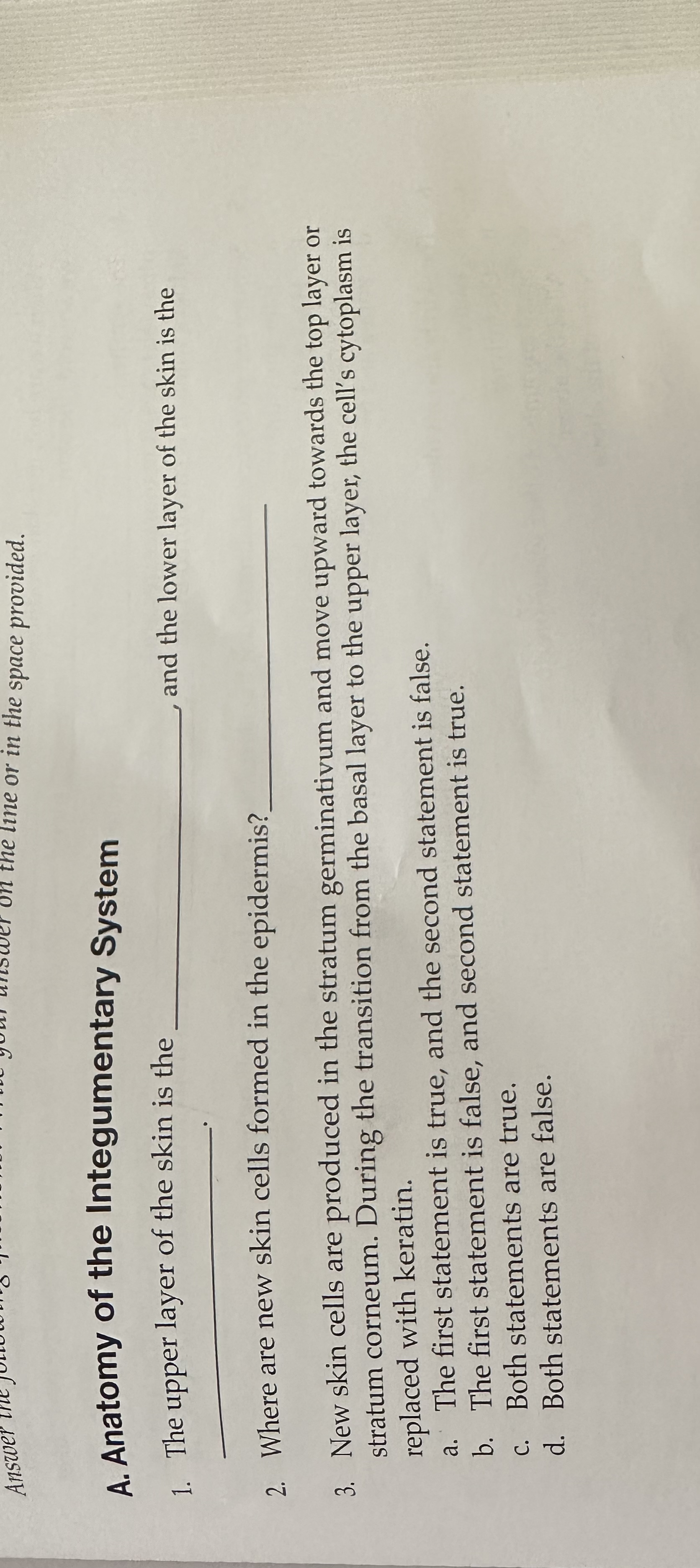 Solved A. ﻿Anatomy of the Integumentary SystemThe upper | Chegg.com