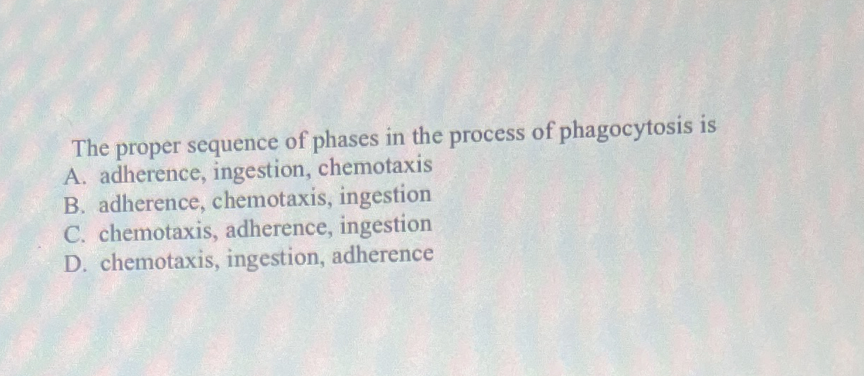 Solved The proper sequence of phases in the process of | Chegg.com