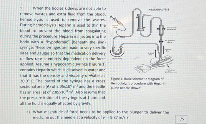 Solved 1. When the bodies kidneys are not able to remove | Chegg.com