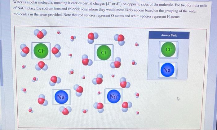 Solved Water Is A Polar Molecule Meaning It Carries Partial Chegg