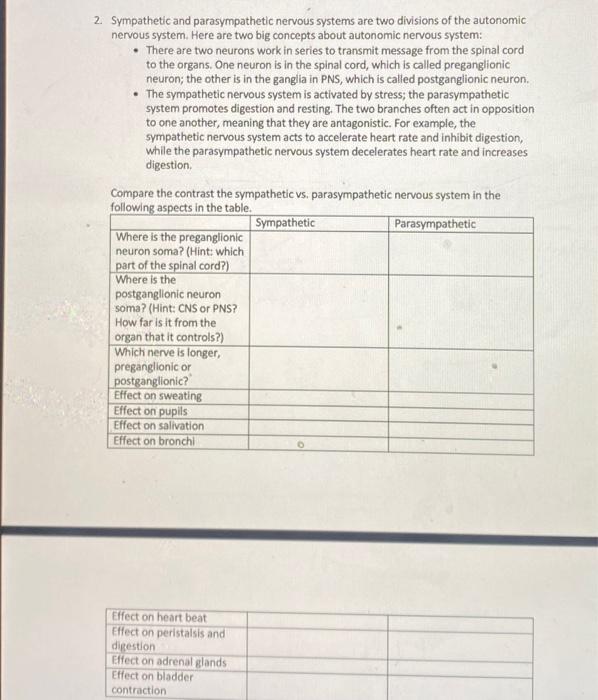 Solved 2. Sympathetic and parasympathetic nervous systems | Chegg.com