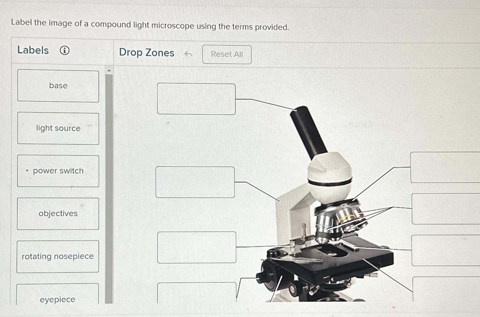Solved Label the image of a compound light microscope using | Chegg.com