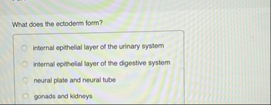 Solved What does the ectoderm form?internal epithelial layer | Chegg.com