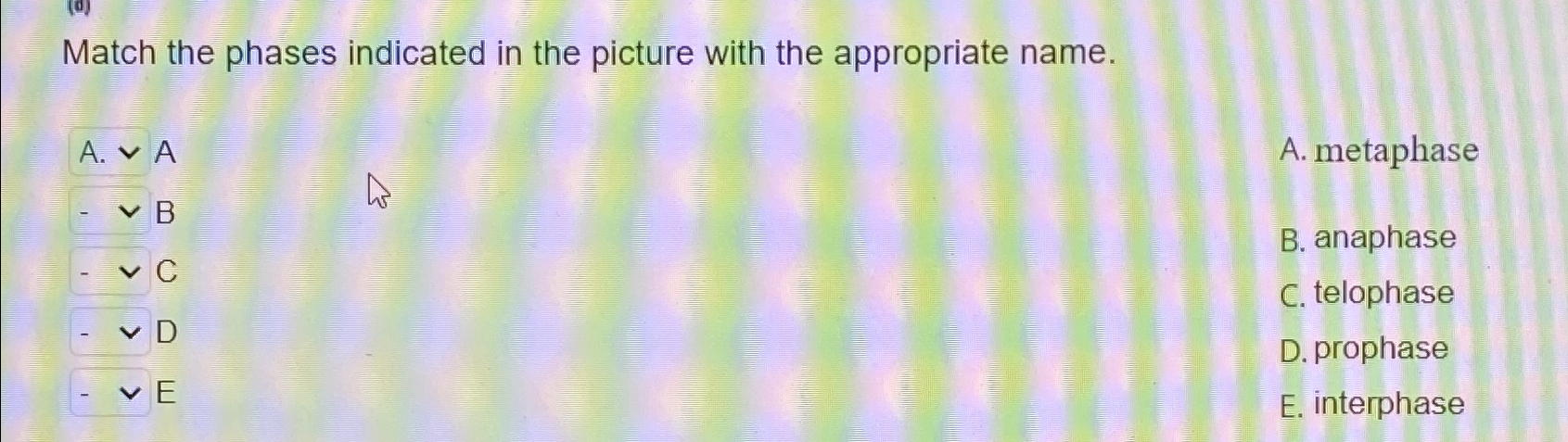 Solved Match the phases indicated in the picture with the | Chegg.com