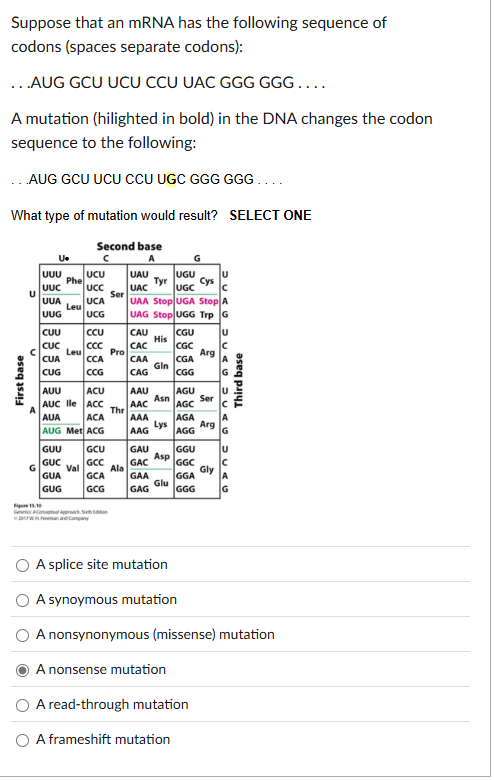 Solved Suppose that an mRNA has the following sequence of | Chegg.com