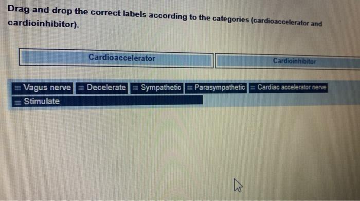 Solved Drag and drop the correct labels according to the | Chegg.com