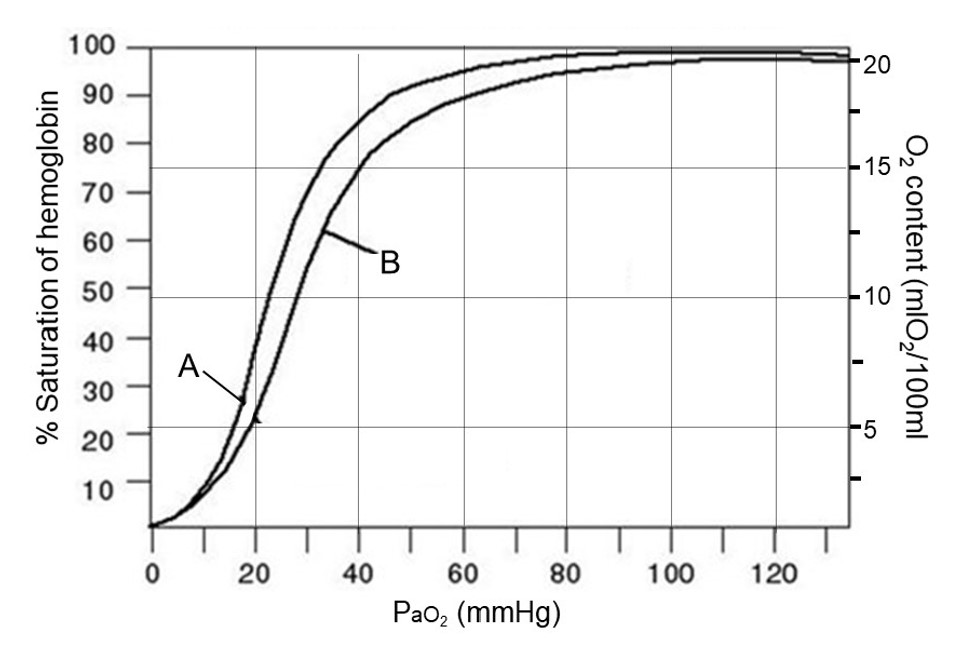 Solved does increase of CO poisoning or hemoglobin | Chegg.com