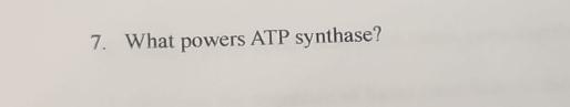 Solved What powers ATP synthase? | Chegg.com