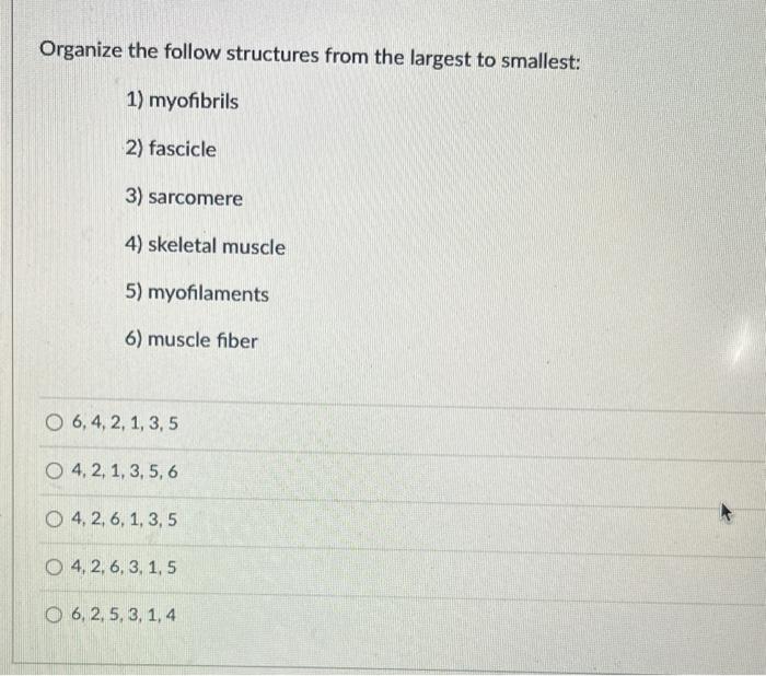 Solved Organize the follow structures from the largest to | Chegg.com