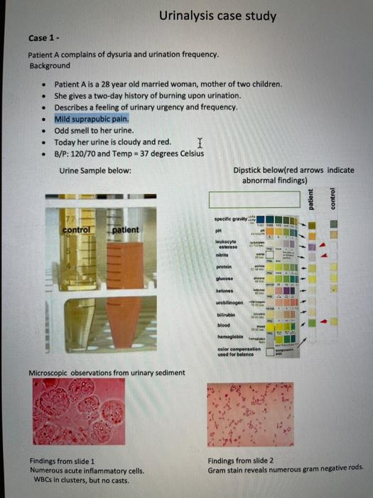 Solved Urinalysis case study Case 1- . . Patient A complains | Chegg.com