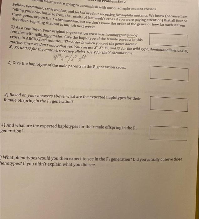 Solved we are going to accomplish with our quadruple-mutant | Chegg.com