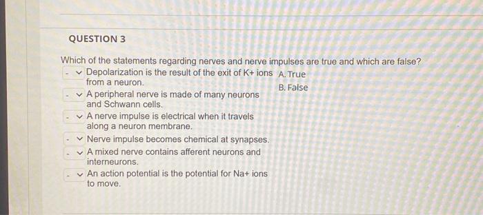 Solved Which of the statements regarding nerves and nerve | Chegg.com