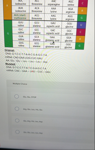 \table[[A,AUC isoleucine,ACC threonine,AAC | Chegg.com