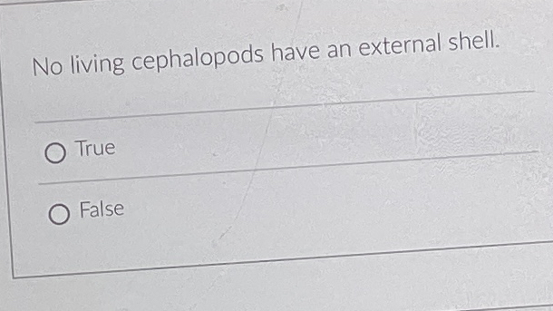 Solved No living cephalopods have an external | Chegg.com