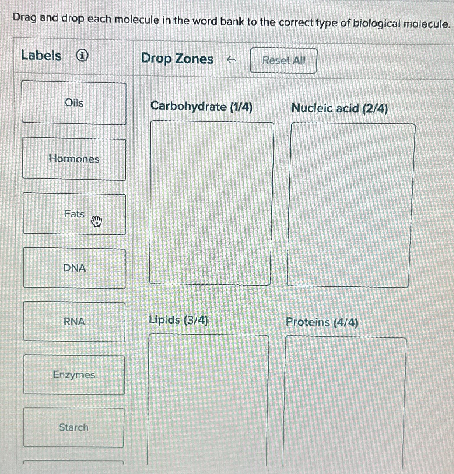 Solved Drag and drop each molecule in the word bank to the | Chegg.com