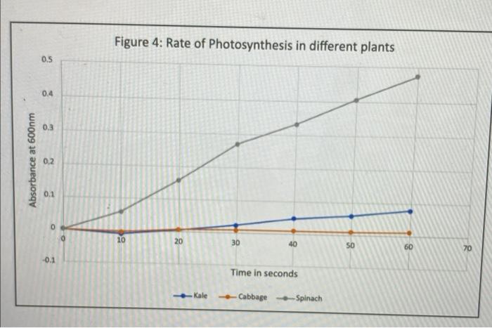 Solved Figure 4: Rate of Photosynthesis in different plants | Chegg.com