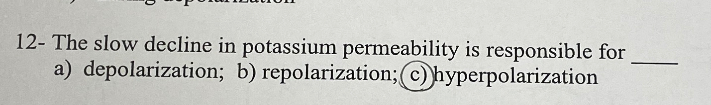 Solved 12 ﻿the Slow Decline In Potassium Permeability Is