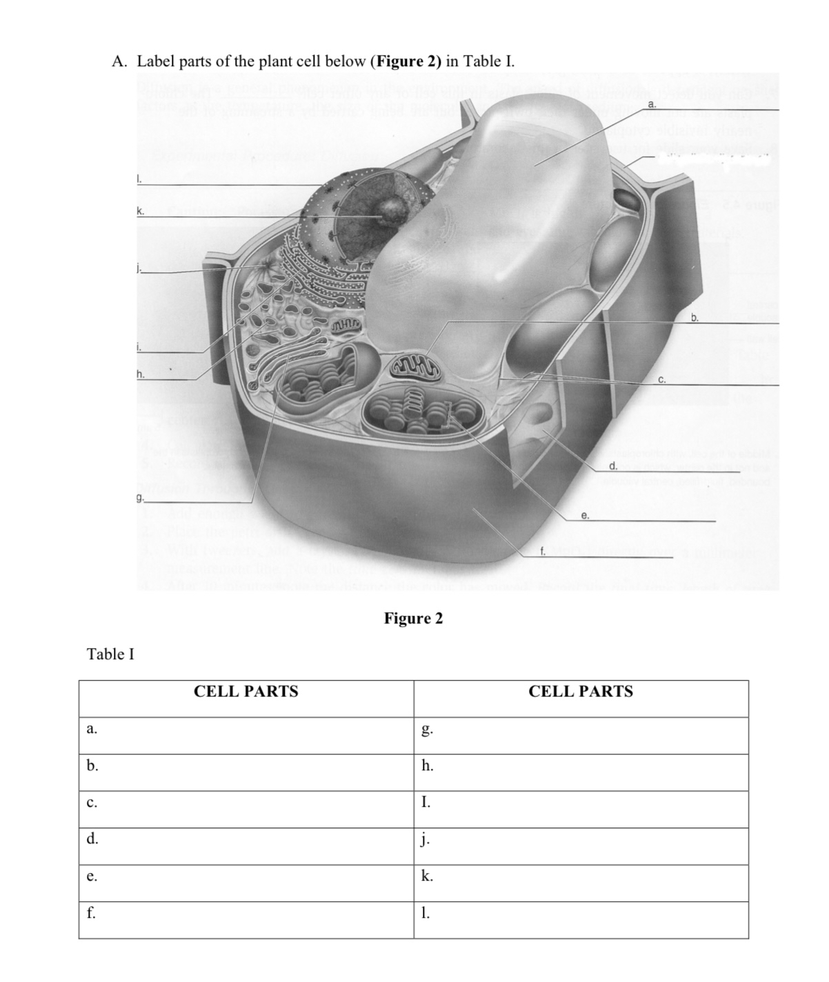 Solved A. ﻿Label parts of the plant cell below (Figure 2) | Chegg.com