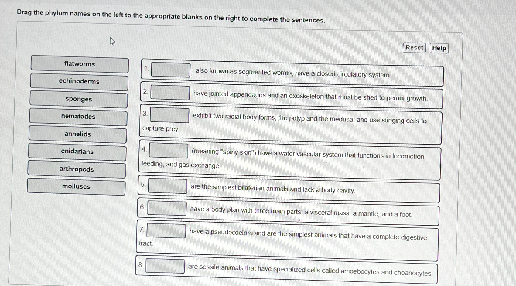 Solved Drag the phylum names on the left to the appropriate | Chegg.com