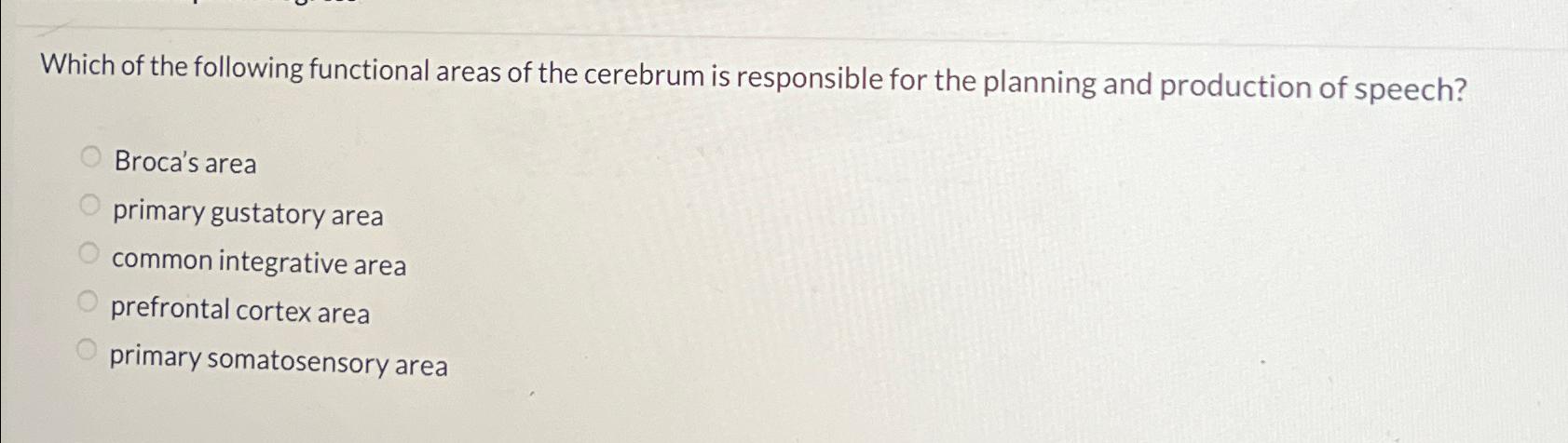 Solved Which of the following functional areas of the | Chegg.com