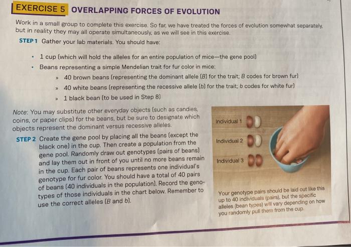 Solved 100 LAB 4 Forces of Evolution Nome Data Individual | Chegg.com