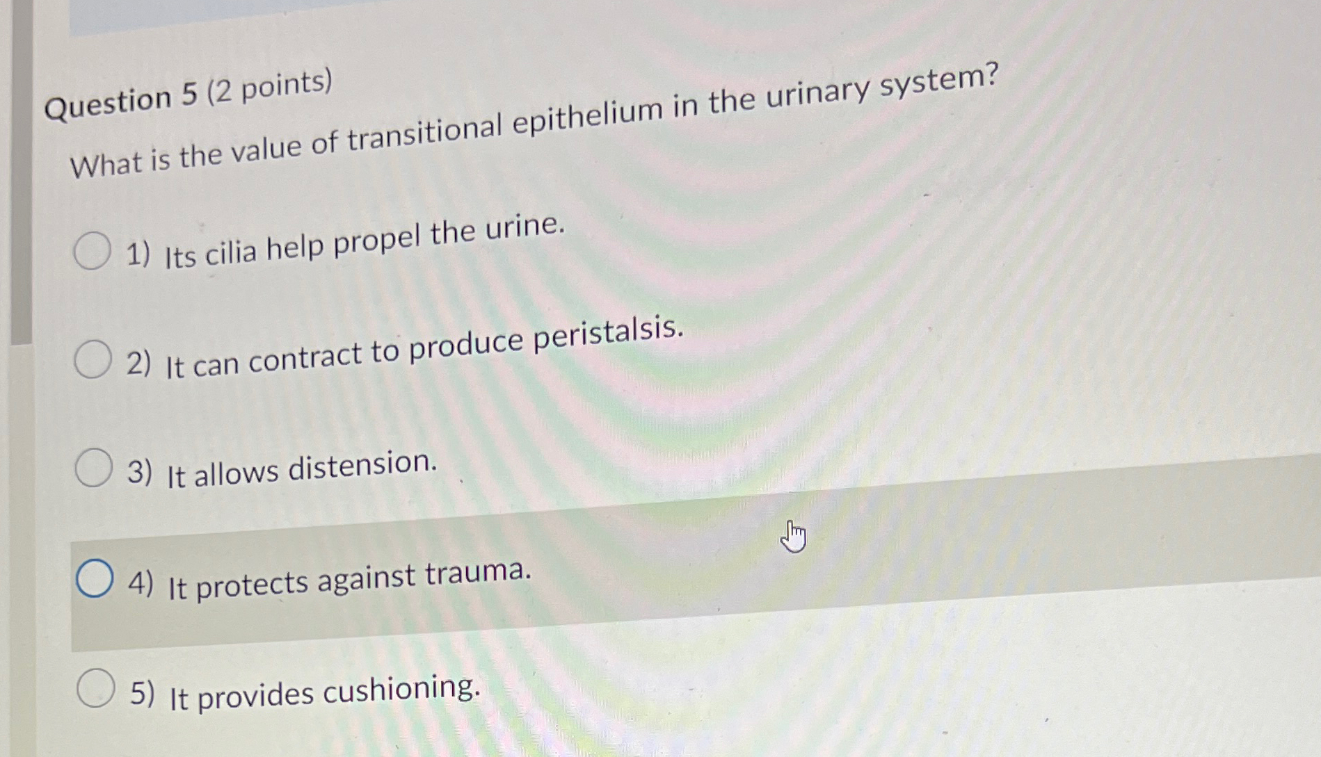 Solved Question 5 (2 ﻿points)What is the value of | Chegg.com