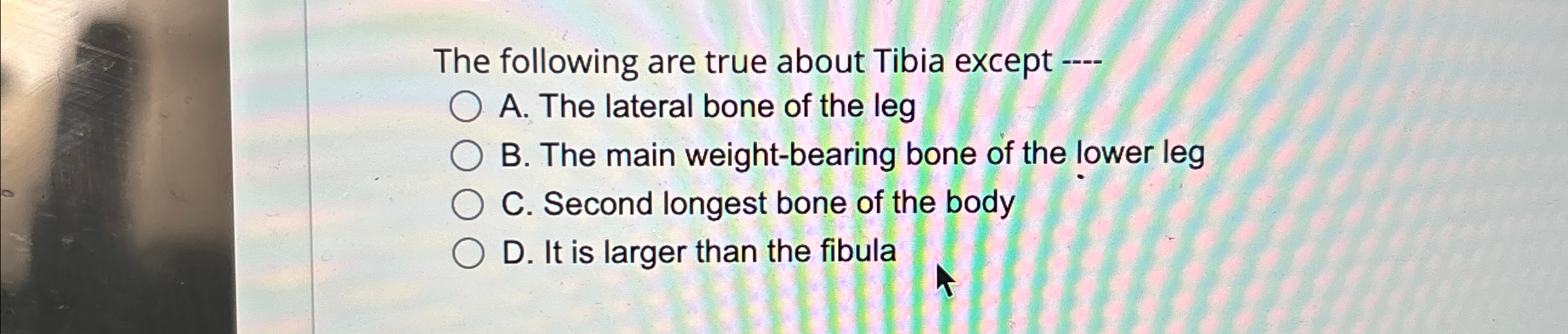 Solved The following are true about Tibia except ----A. ﻿The | Chegg.com