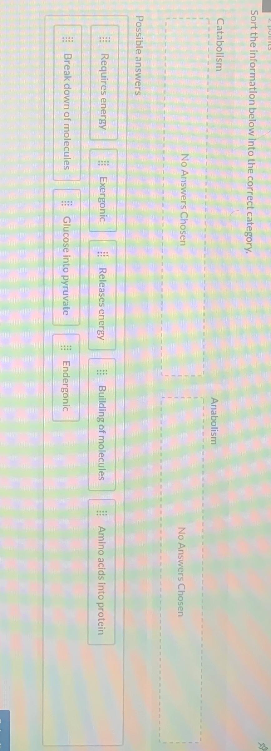 Solved Sort the information below into the correct | Chegg.com