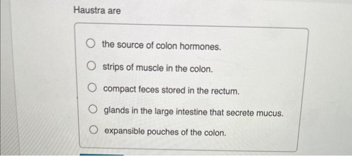 Solved Haustra are the source of colon hormones. strips of | Chegg.com