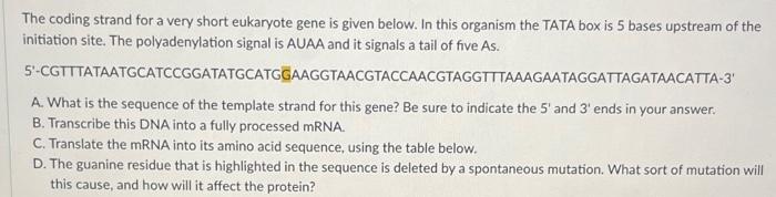 Solved The coding strand for a very short eukaryote gene is | Chegg.com