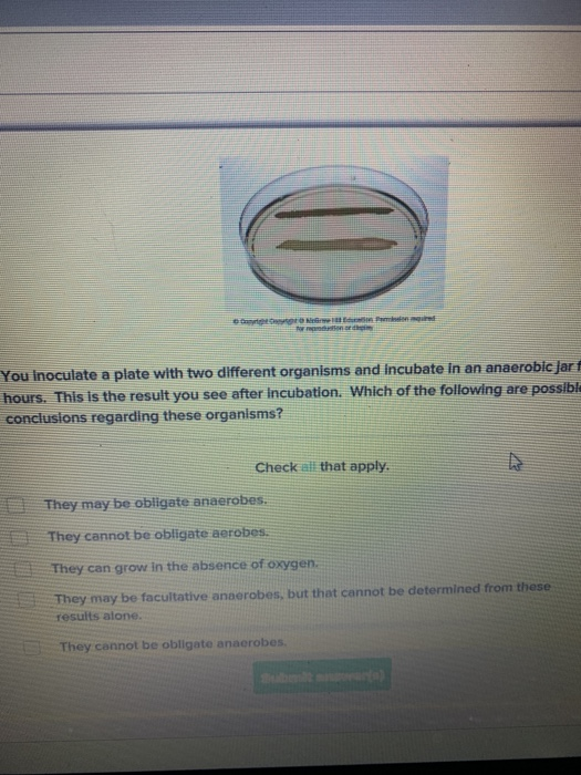 Solved you inoculate a plate with two different organisms | Chegg.com