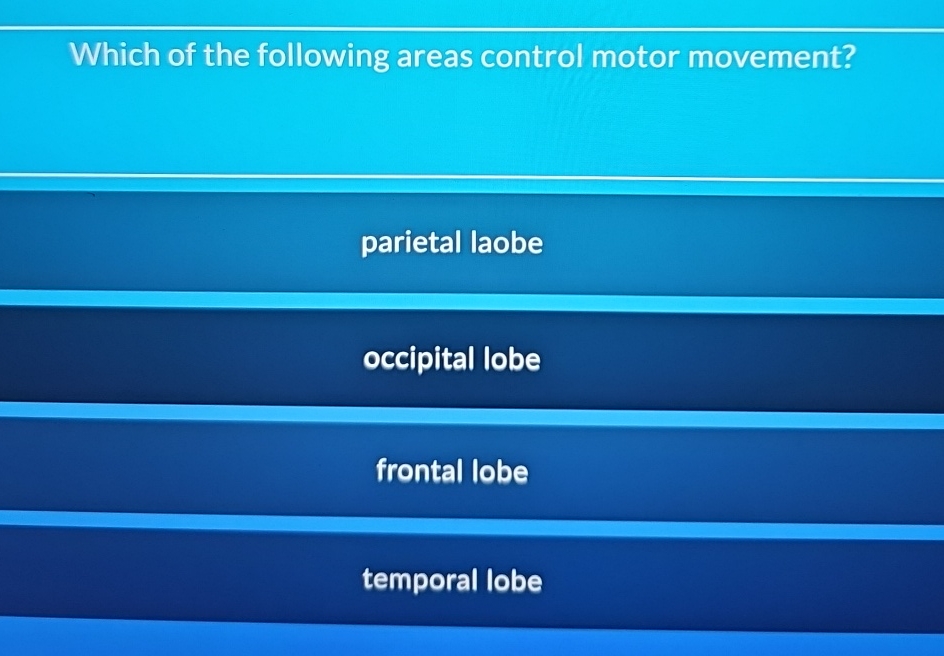 Solved Which of the following areas control motor | Chegg.com