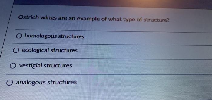 Solved Ostrich wings are an example of what type of | Chegg.com