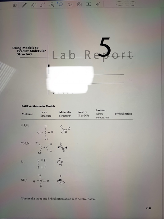 Solved 08 Using Models to Predict Molecular Structure 5. Lab | Chegg.com
