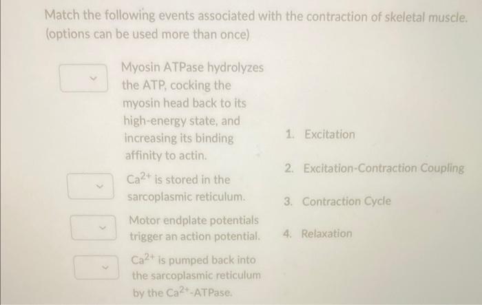 Solved Match the following events associated with the | Chegg.com