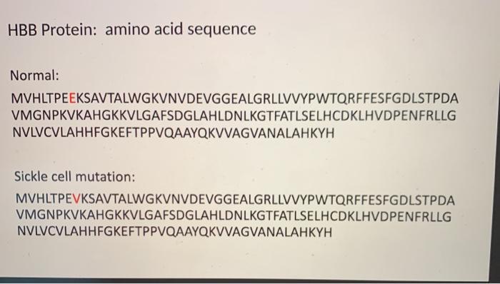 Solved HBB Protein: amino acid sequence Normal: | Chegg.com