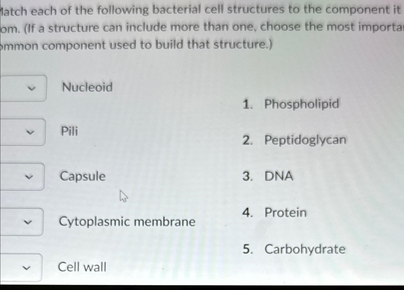 Solved latch each of the following bacterial cell structures | Chegg.com