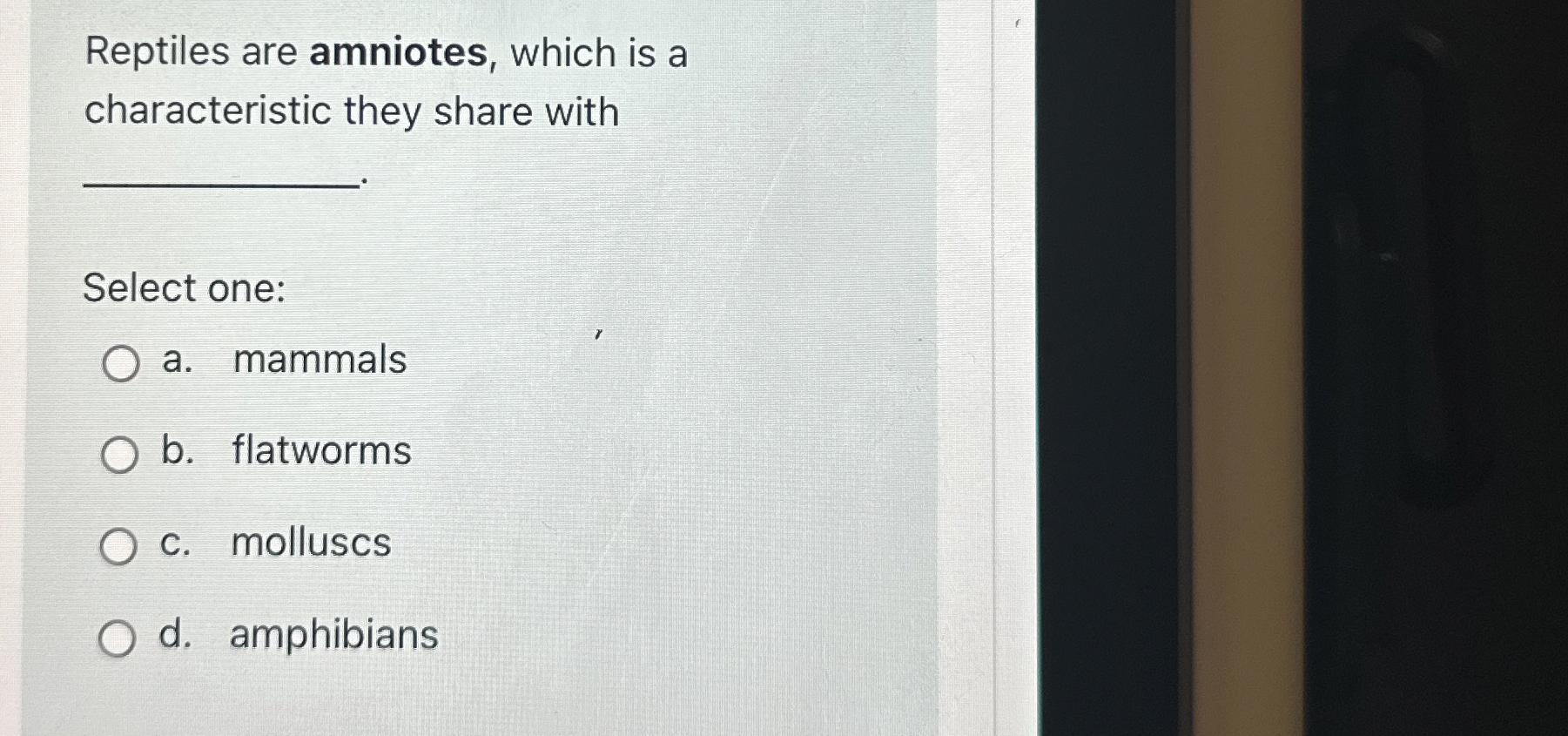Solved Reptiles are amniotes, which is a characteristic they | Chegg.com