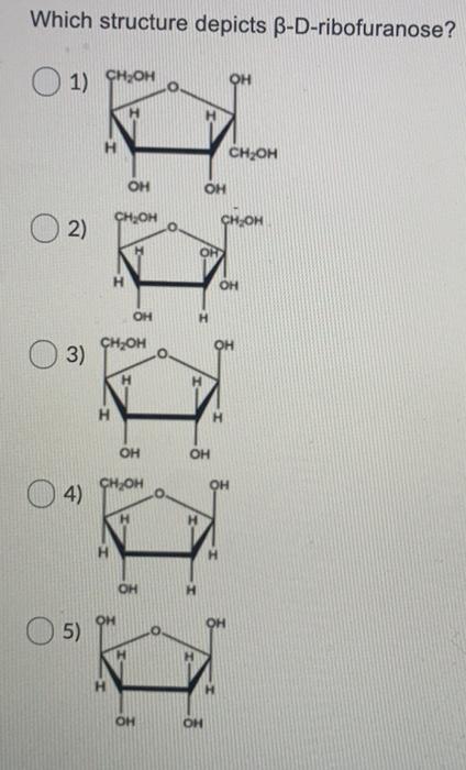 Solved Which structure depicts B-D-ribofuranose? О1) нон | Chegg.com