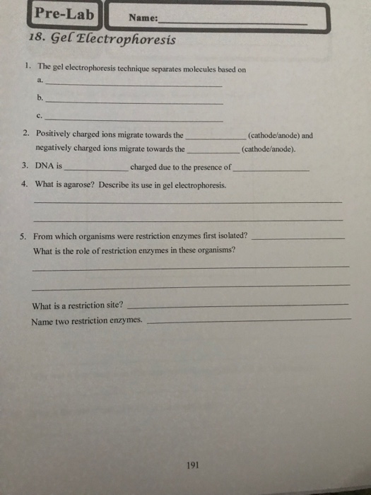 Solved 15. Mendelian Genetics 1. Alternate forms of a gene | Chegg.com