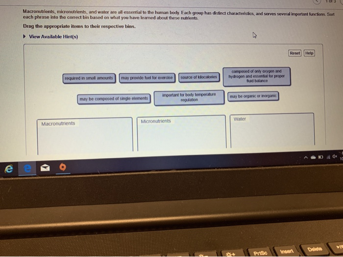 Solved Macronutrients, micronutrients, and water are all | Chegg.com