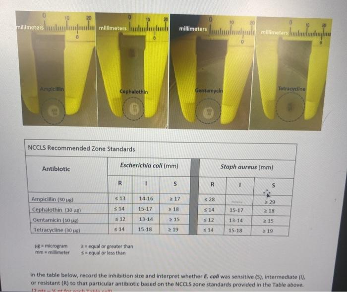 3. Using words, explain the spreading pattern that | Chegg.com